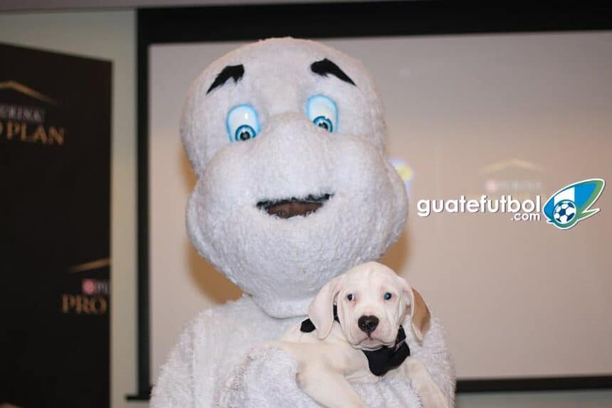 Comunicaciones tiene otra nueva mascota | Guatefutbol.com